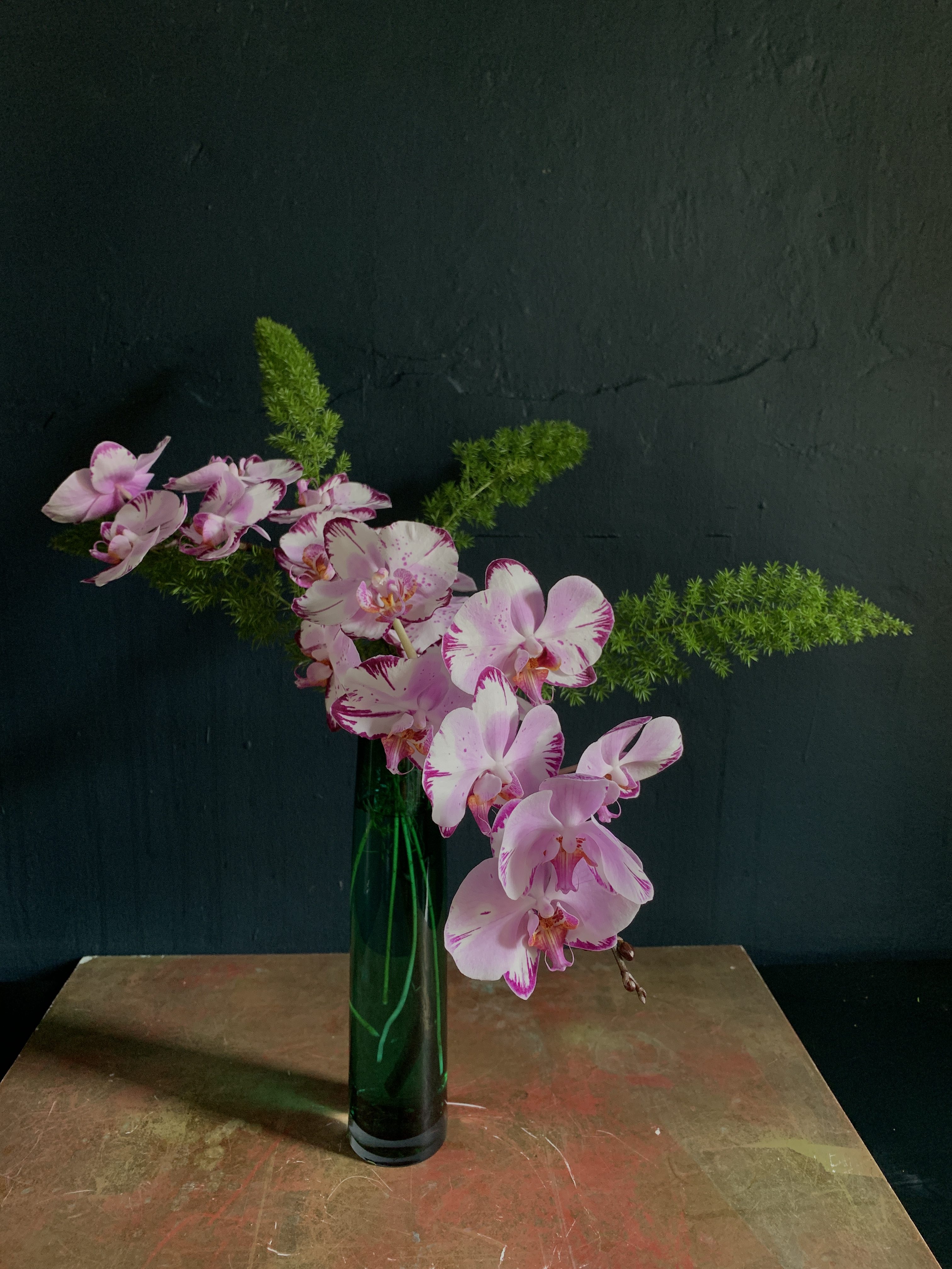 phalo – Gail Smith Flowers